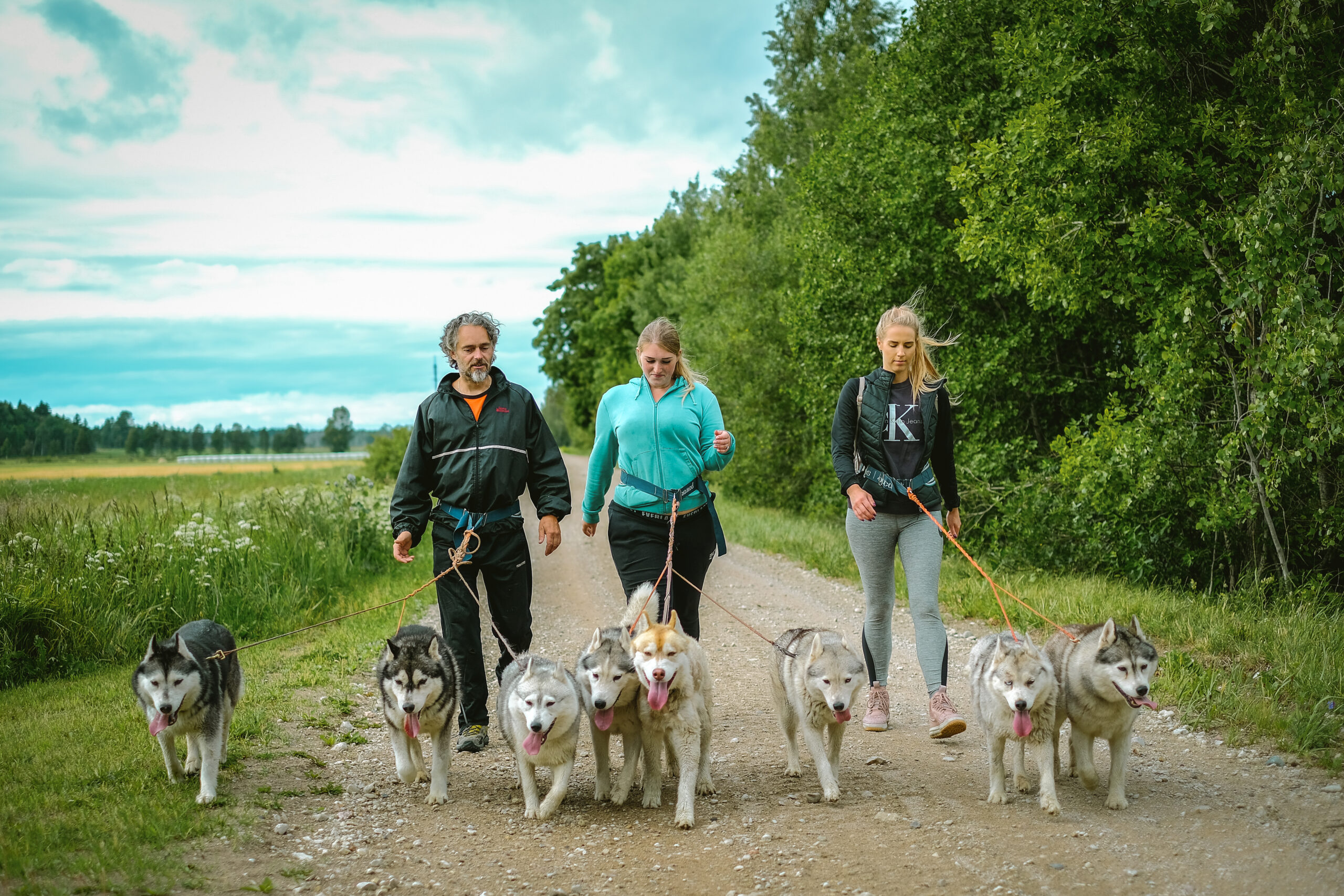 Matk Siberi huskydega - Paasiku koertemõis